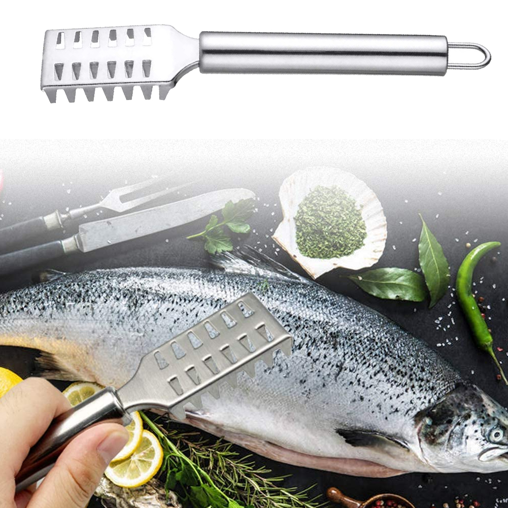 Échelle de poisson Plancher Fish Scaler Scalteur poisson Échelle de ...