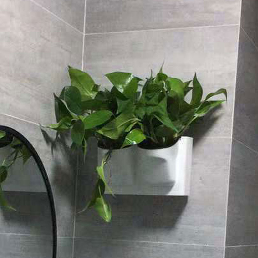 YaptheS Jardinière à eau automatique Planteur mural Pot de fleur mural ...