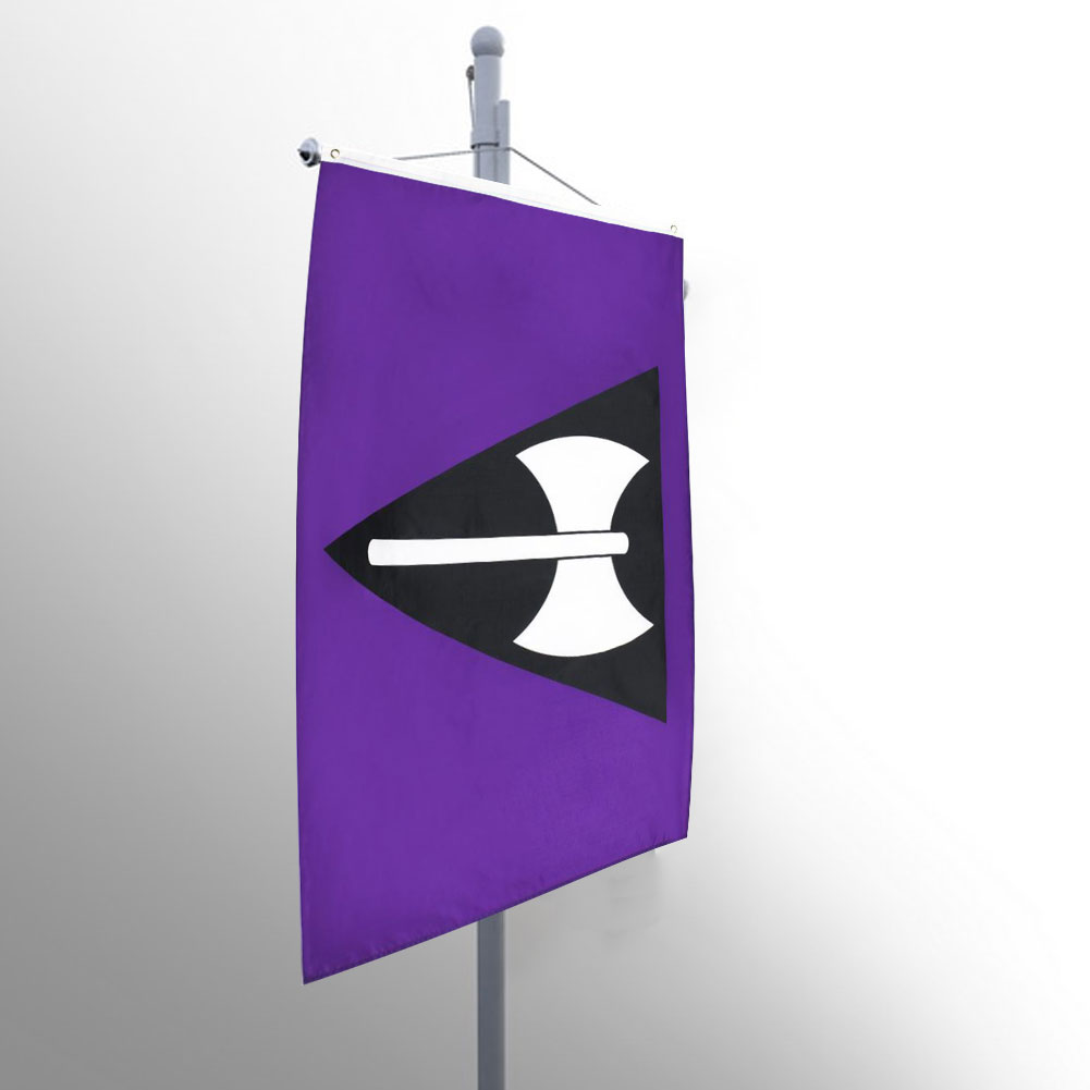 Drapeau lesbien violet LGBT pavillon d'arc-en-ciel drapeau gay avec des ...